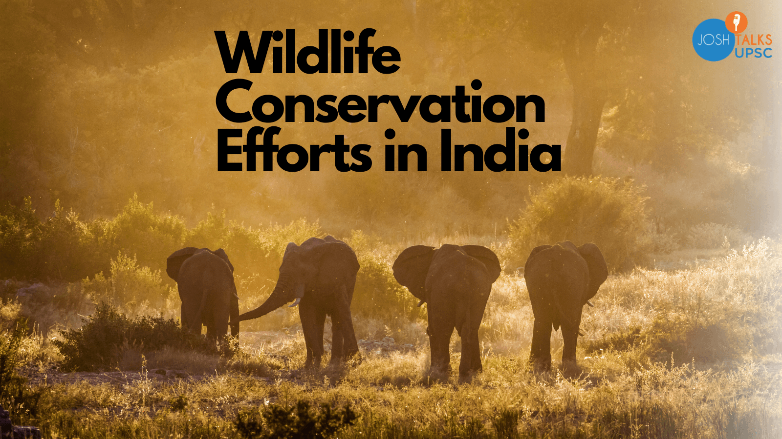 Wildlife Conservation Efforts in India | Josh Talks